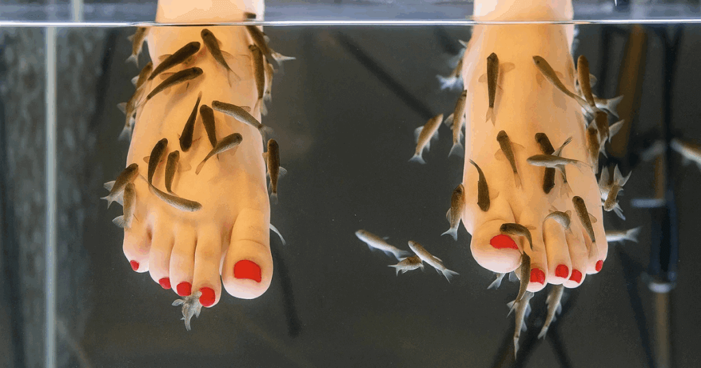 The Popular Fish Pedicure You Need